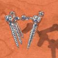 Orthopedic lumbar spine fusion hardware, transpedicular screws and ...
