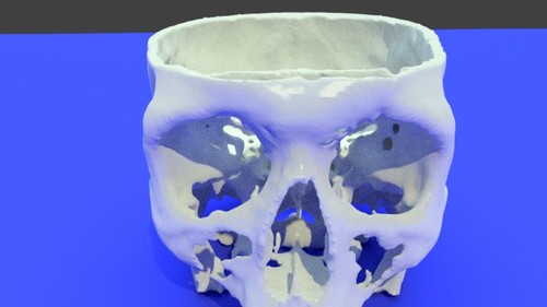 Base of the skull, STL file - Skull and Face - embodi3D.com