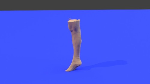 Right Leg Skin Model 3D Printable STL File Converted from CT Scan ...