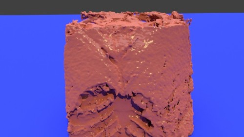 CT scans - stl file processed - democratiz3D® Processing - embodi3D.com