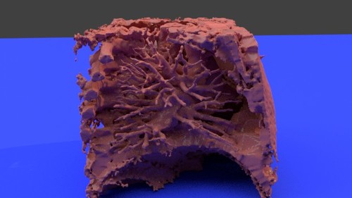 CT scans - stl file processed - democratiz3D® Processing - embodi3D.com