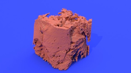 CT scans - stl file processed - democratiz3D® Processing - embodi3D.com