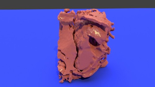 ccccccccccccc - stl file processed - Abdomen and Pelvis muscles ...