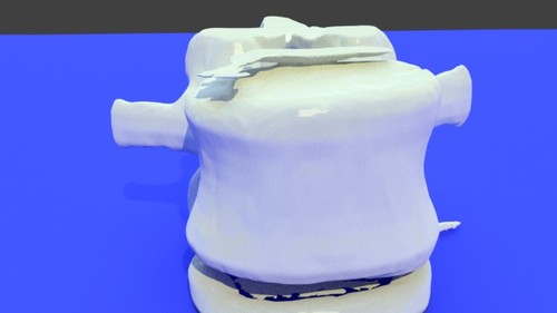 Third lumbar vertebra (L3) - STL file from converted CT scan - Spine ...