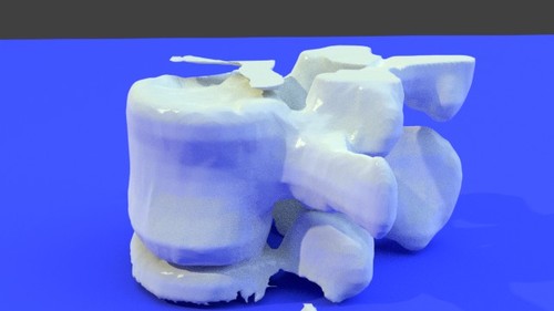 Third lumbar vertebra (L3) - STL file from converted CT scan - Spine ...