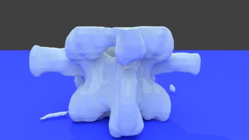 Third lumbar vertebra (L3) - STL file from converted CT scan - Spine ...