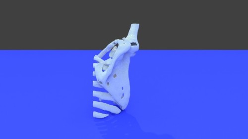 Right Shoulder Joint 3D Printable STL File Converted From CT Scan ...