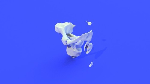 first try on a leg ct scan - stl file processed - democratiz3D ...