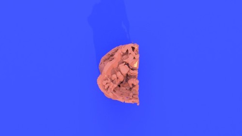 Right Hip - Muscle model STL file from converted CT scan - Extremity ...