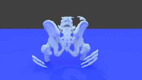 Pelvis and Hip - Bone model STL file from converted CT scan - Spine and ...