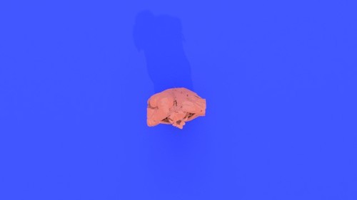 Whole Body - Muscle model STL file from converted CT scan - Whole body ...