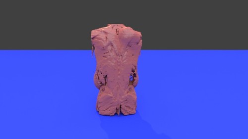Whole Body - Muscle model STL file from converted CT scan - Whole body ...