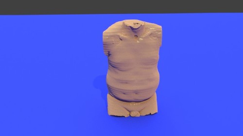 Whole Body - Skin model STL file from converted CT scan - Skin ...