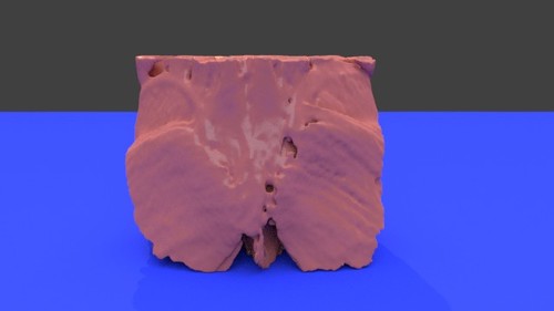 Pelvic Bones (female pelvis) - Muscle model STL file from converted CT ...