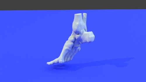 Right foot - Bone model STL file from converted CT scan - Extremity ...