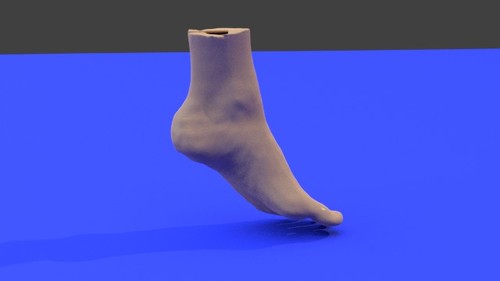 Left foot - Skin model STL file from converted CT scan - Skin ...