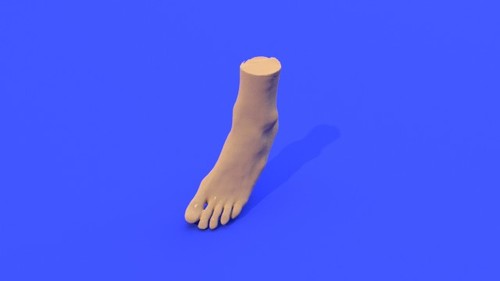 Left foot - Skin model STL file from converted CT scan - Skin ...