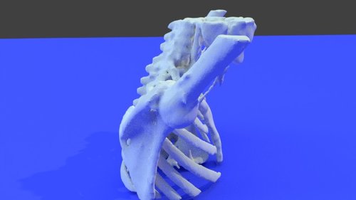 Chest CTA - stl file processed - democratiz3D® Processing - embodi3D.com