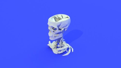Bills CTA neck - stl file processed - Skull and Face - embodi3D.com