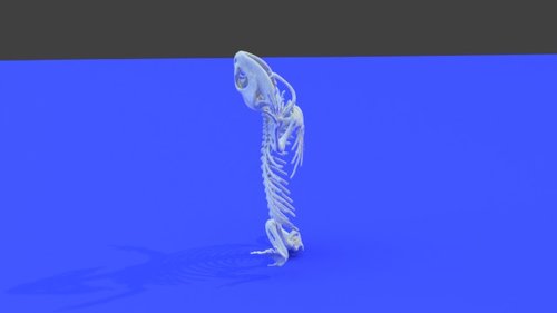 Bearded Dragon CT Scan - stl file processed - democratiz3D® Processing ...