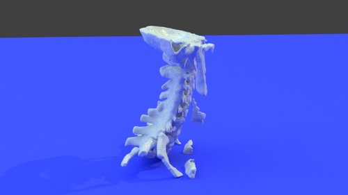 Annele spine - stl file processed - democratiz3D® Processing - embodi3D.com