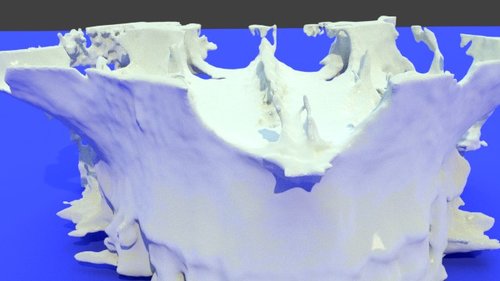 Mandible Complete - stl file processed - Dental, Orthodontic ...