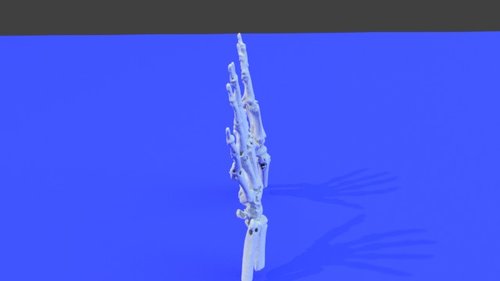 Hand CT scan - stl file processed - Extremity, Upper (Arm) - embodi3D.com