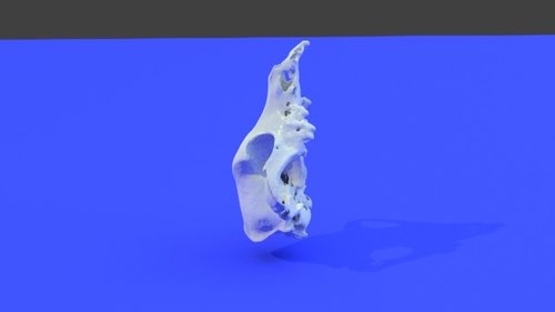 test - stl file processed - Other - embodi3D.com