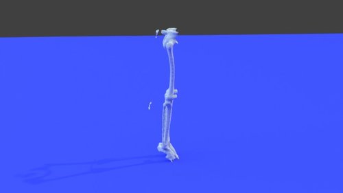 CT Test Conversion - stl file processed - Lower Extremity CTs ...