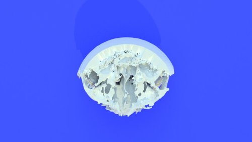 vidya goyal - stl file processed - Dental, Orthodontic, Maxillofacial ...