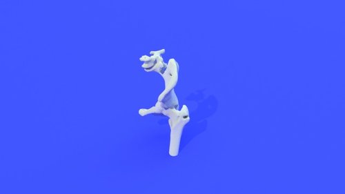 HIP CT-Scan - stl file processed - Spine and Pelvis - embodi3D.com