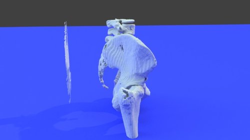 femur - stl file processed - Spine and Pelvis - embodi3D.com