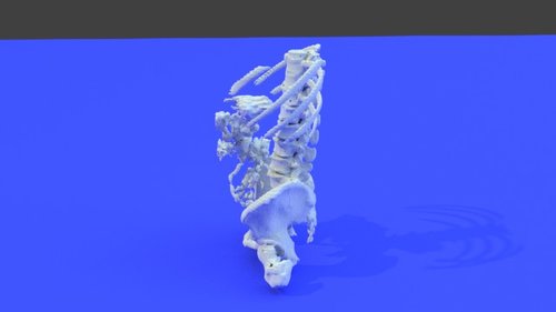 2 body - stl file processed - Whole body - embodi3D.com
