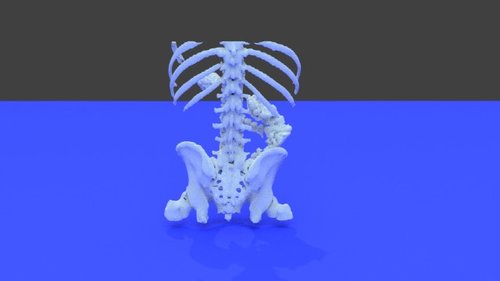 2 body - stl file processed - Whole body - embodi3D.com