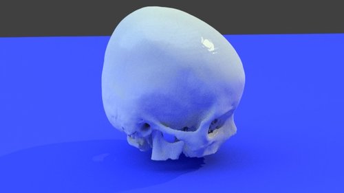 Skull - stl file processed - Skull and Face - embodi3D.com