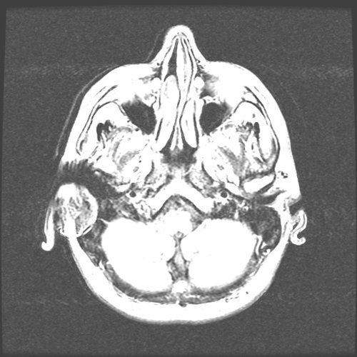 test - democratiz3D® Processing - embodi3D.com