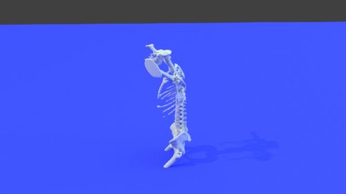Ct scan test - stl file processed - Whole body - embodi3D.com