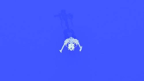 Ct scan test - stl file processed - Whole body - embodi3D.com