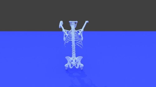 Ct scan test - stl file processed - Whole body - embodi3D.com