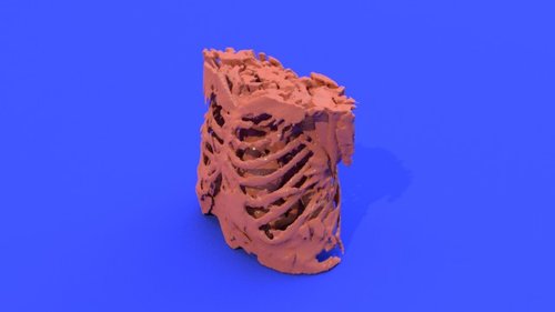 Lung - stl file processed - Thorax and Ribs Muscles - embodi3D.com