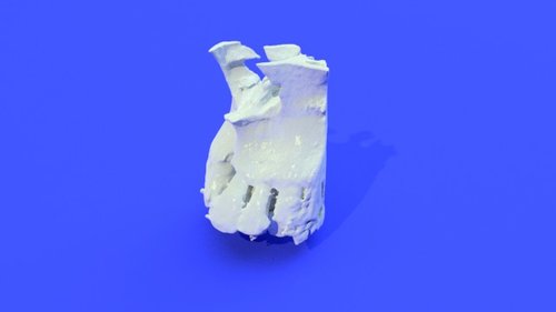 DCM 2 - stl file processed - Dental, Orthodontic, Maxillofacial ...