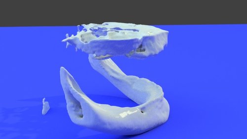 Teste 1 - stl file processed - Dental, Orthodontic, Maxillofacial ...