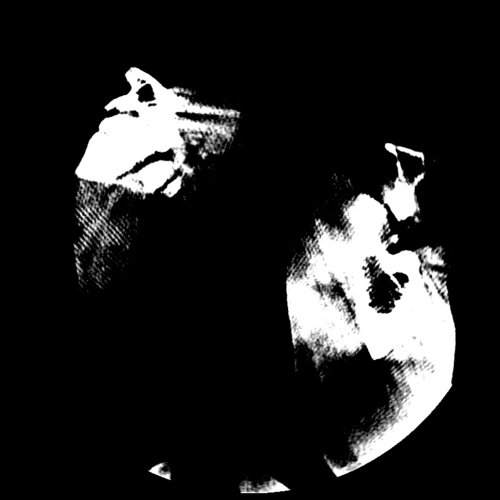 Canine Elbow UAP - Dental, Orthodontic, Maxillofacial CTs - embodi3D.com