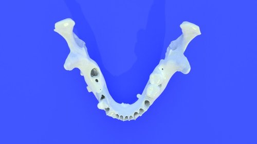 Mandibulas - stl file processed - Dental, Orthodontic, Maxillofacial ...