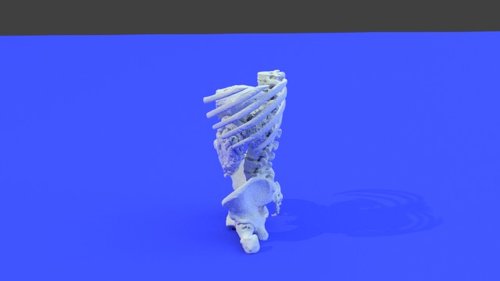 CT Scan - stl file processed - Spine and Pelvis - embodi3D.com