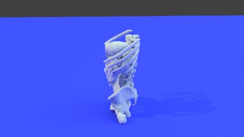 CT Scan - stl file processed - democratiz3D® Processing - embodi3D.com