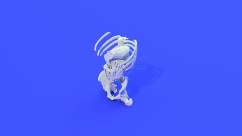CT Scan - stl file processed - democratiz3D® Processing - embodi3D.com
