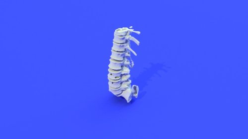 bones 2 - stl file processed - Spine and Pelvis - embodi3D.com