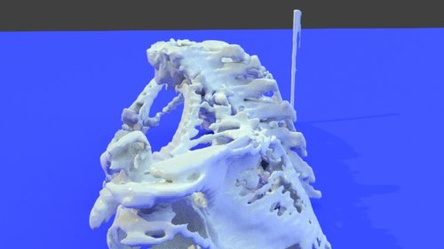Maritz - stl file processed - Extremity, Upper (Arm) - embodi3D.com