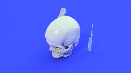 facebone - stl file processed - Skull and Face - embodi3D.com